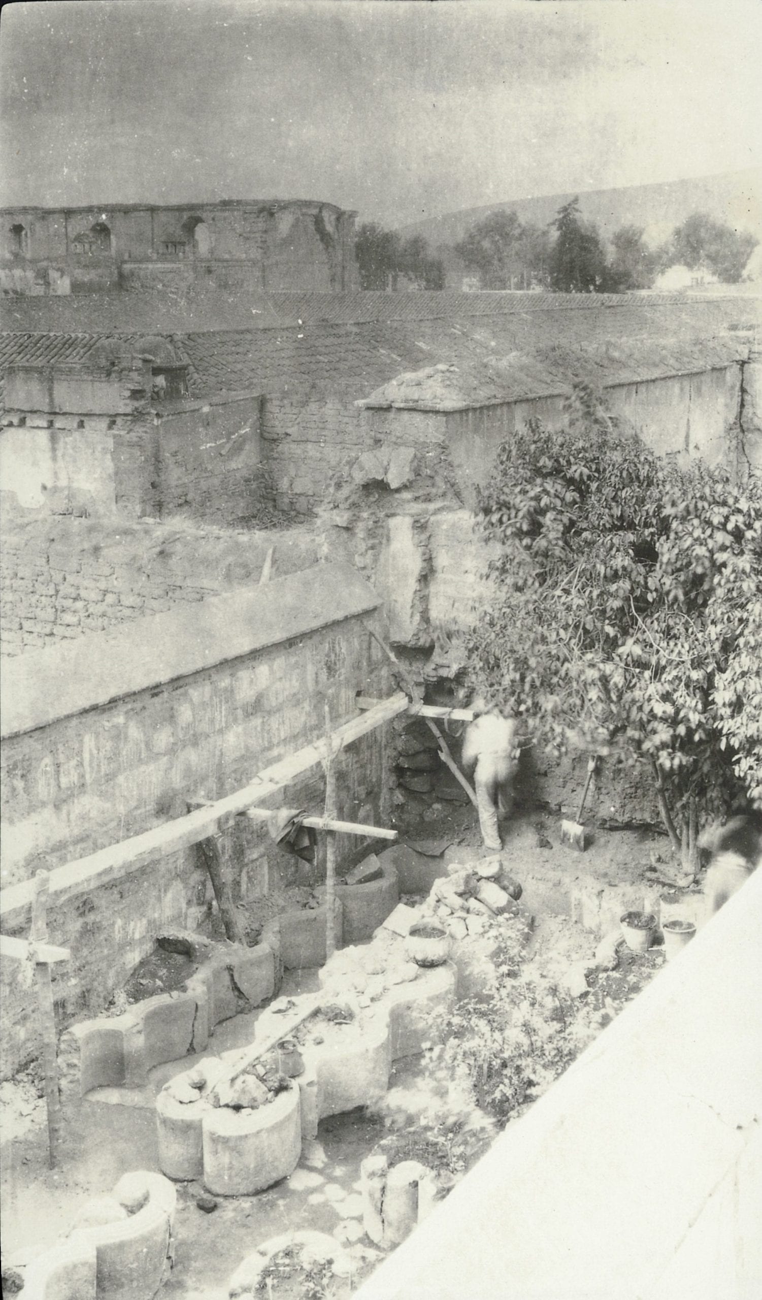 Investigaciones y archivo Popenoe - Casa Popenoe EnCasa Popenoe En